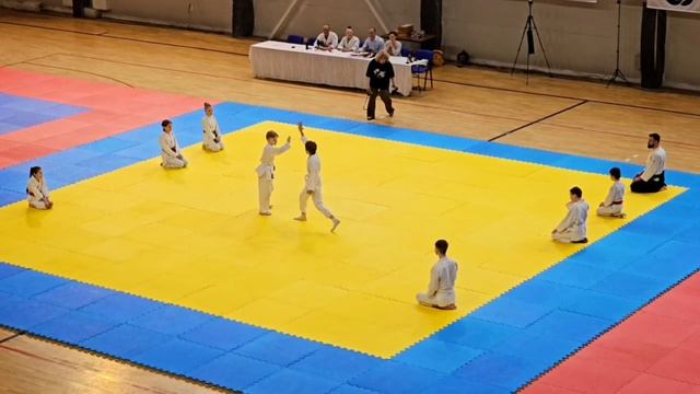 6 -й Детский фестиваль федерации Айкидо Айкикай московской области - Шиханов Додзё