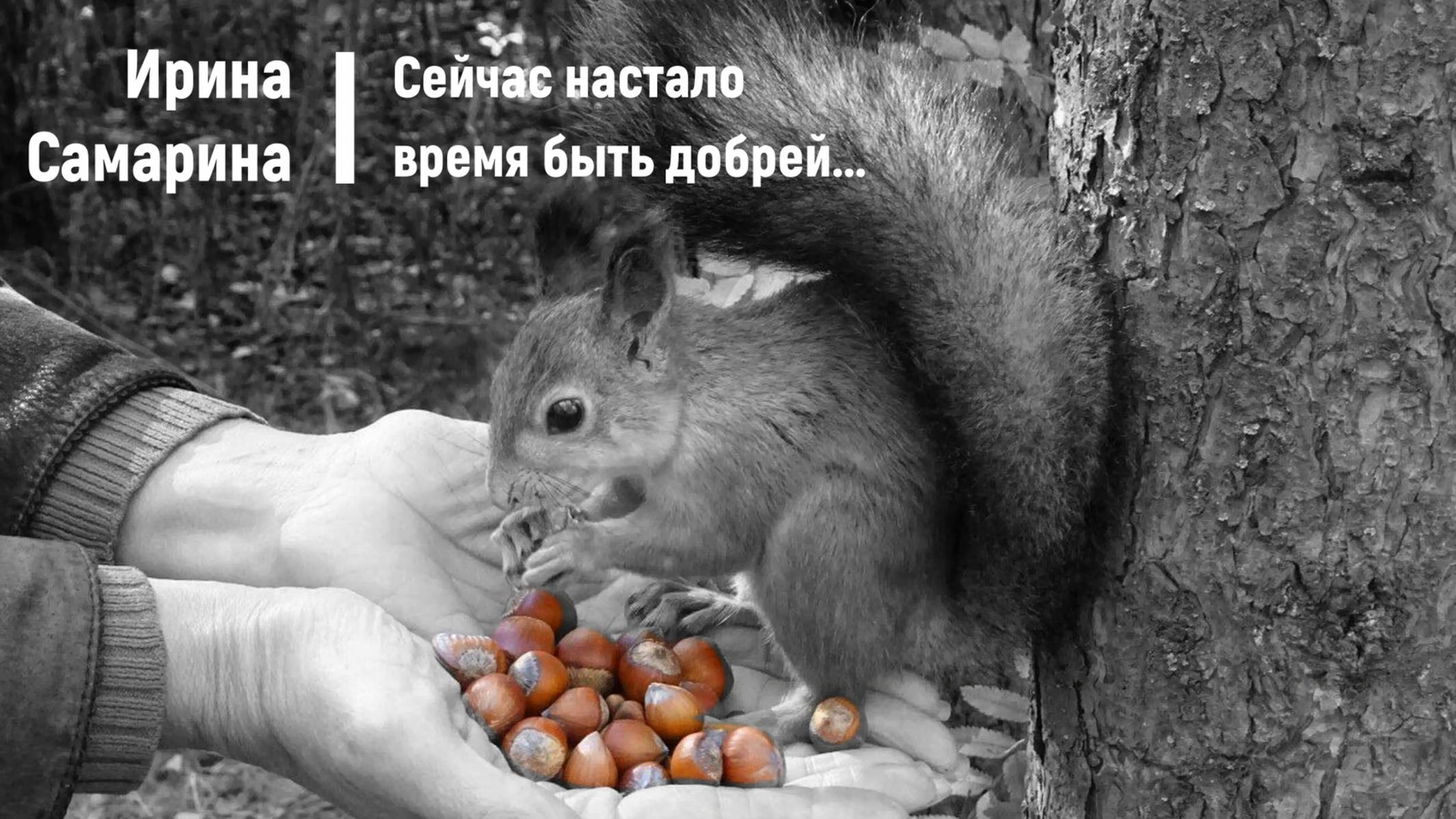 Сейчас настало время быть добрей :: Стихотворение