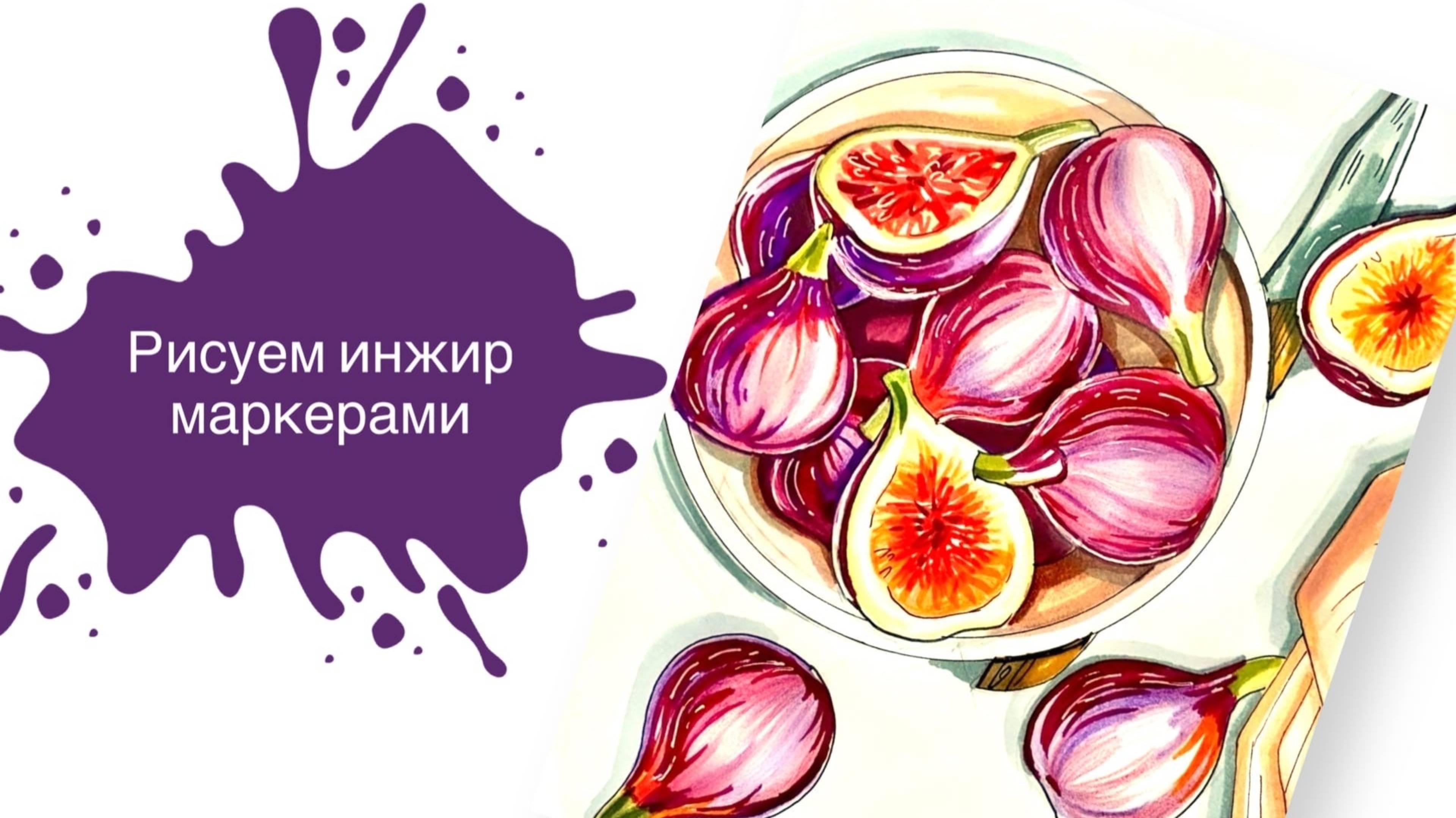 Рисуем Инжир на Драпировке Спиртовыми Маркерами!