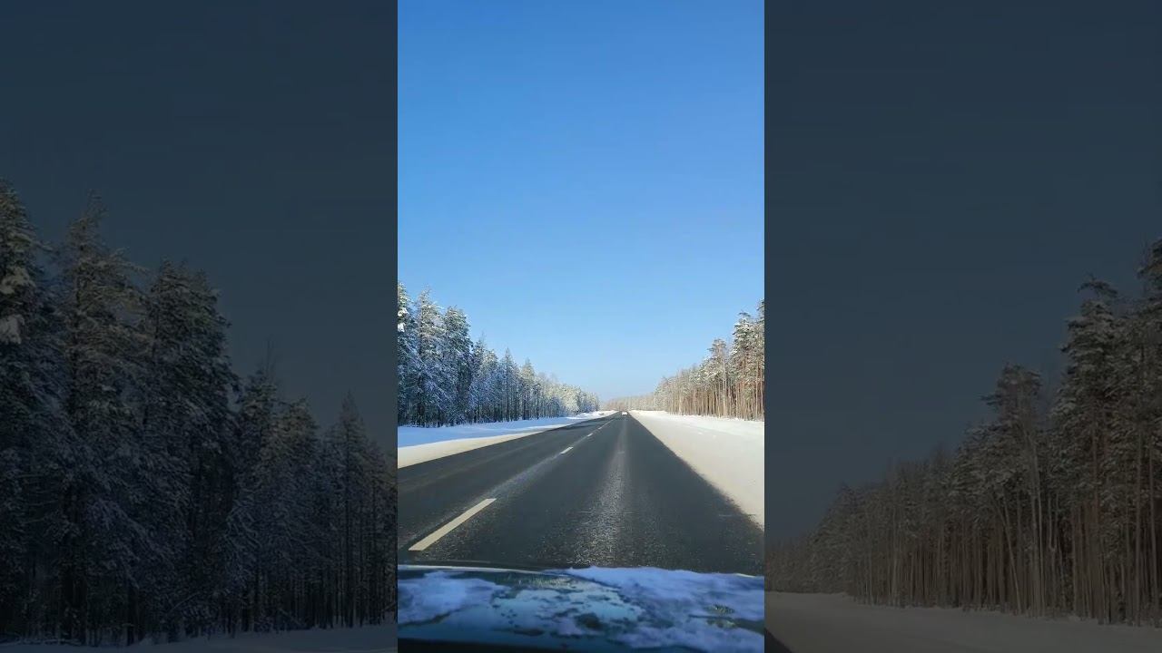 Просто красивая зимняя дорога на пути в СПб #music #7отличий #live #космос #дорога