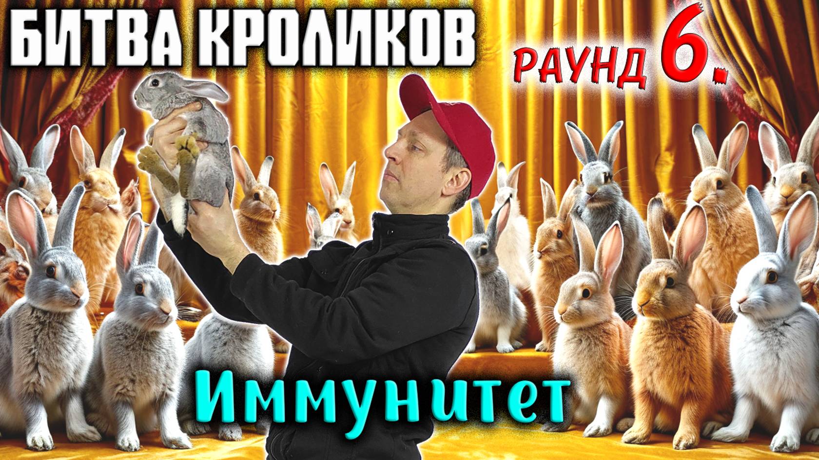 Битва кроликов. Раунд 6. Иммунитет
