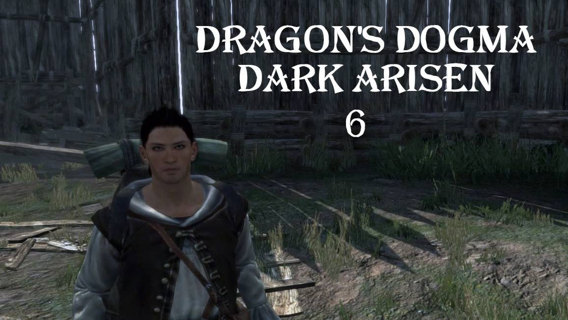 Dragon's Dogma Dark Arisen № 6 (ДОСТАВКА ГОЛОВ)