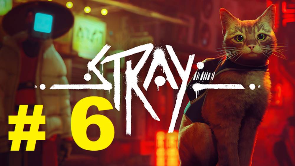 STRAY #6