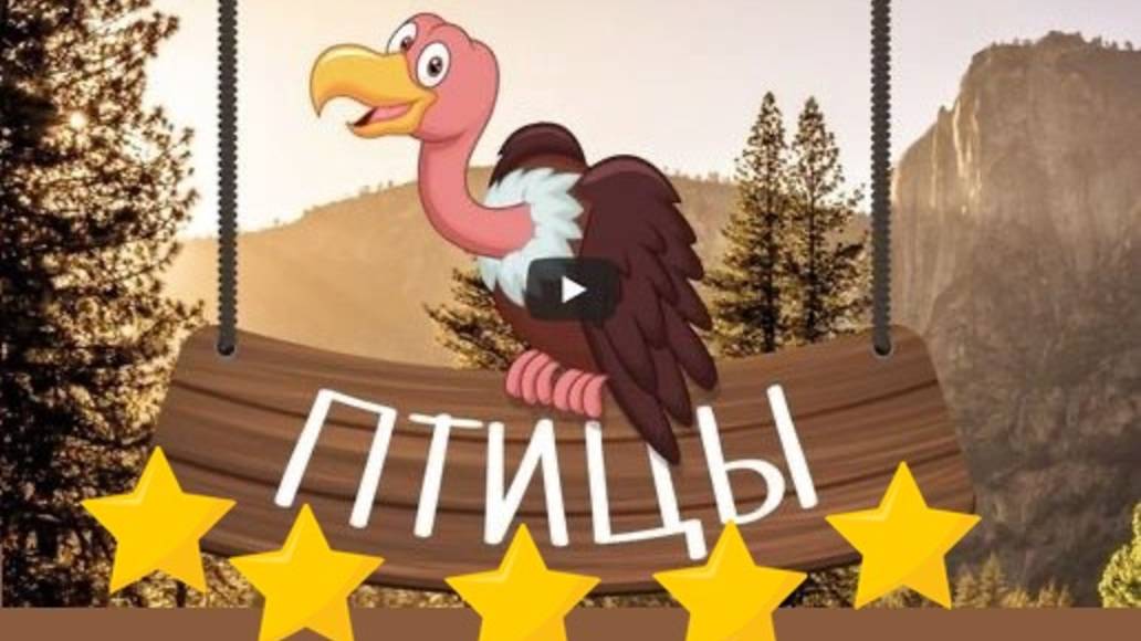 Изучаем ПТИЦ | Развивающие мультики для МАЛЫШЕЙ и ДЕТЕЙ 2,3,4,5,6 лет | Детский видео канал 0+