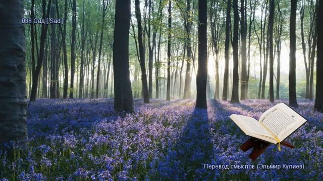 Коран - Смысловой перевод на русский язык (Эльмир Кулиев) - 038. Сад (Sad) - Кора