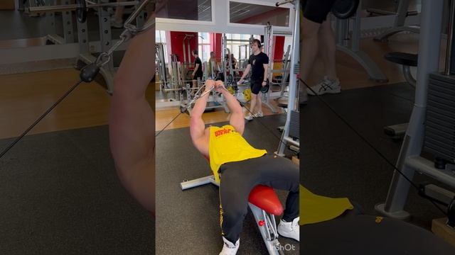 Вся тренировка за минуту