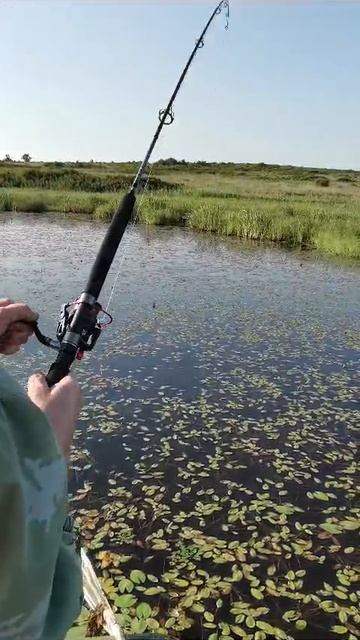 Змееголов на лягушки 80 мм 25 гр №1 и №7 от Mr.Musurok 🔥