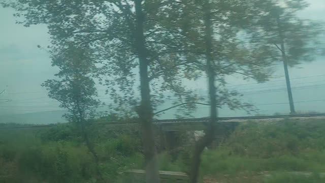 Новый Афон (Абхазия) / Вид из автобуса на море 🌊