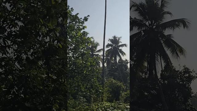 Виды Шри-Ланки