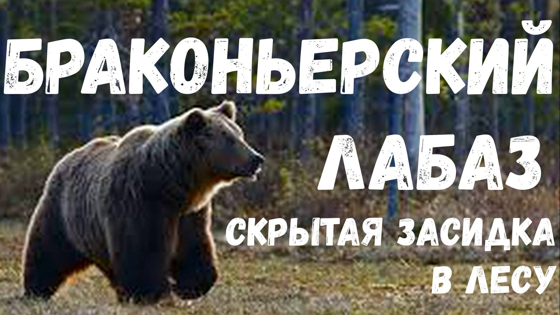 Скрытая засидка в тайге, на одном дереве!