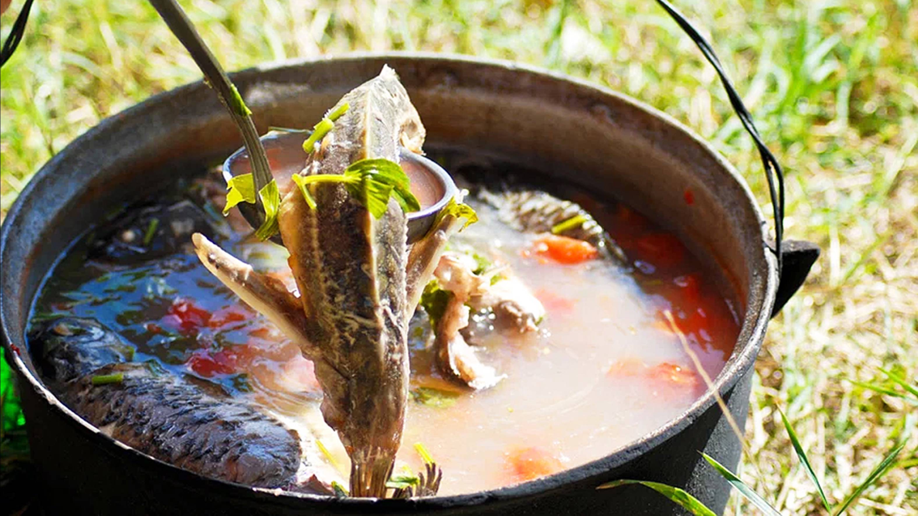 Гимн рыбацкой ухе