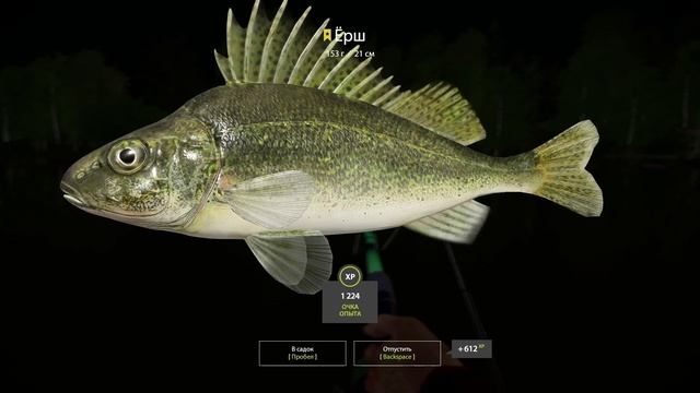 Русская Рыбалка 4 (Закрытие Ерша) оз. Комариное