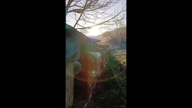 9.04.2025г. Из летков идет пар!