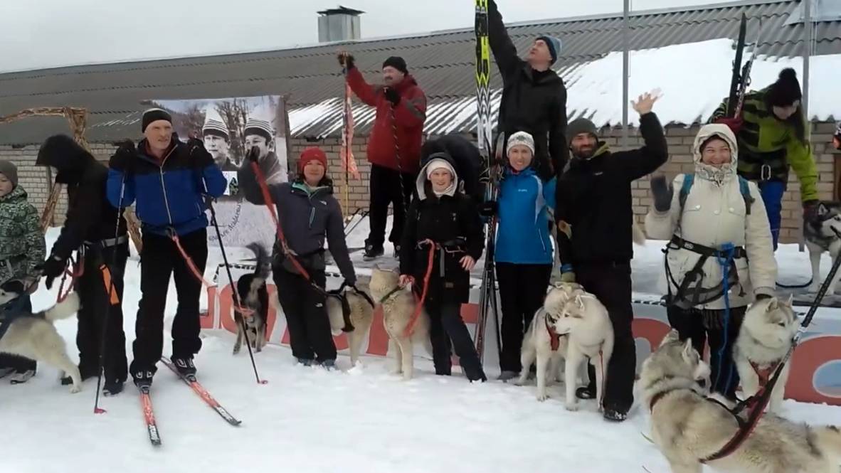 В гостях у хаски