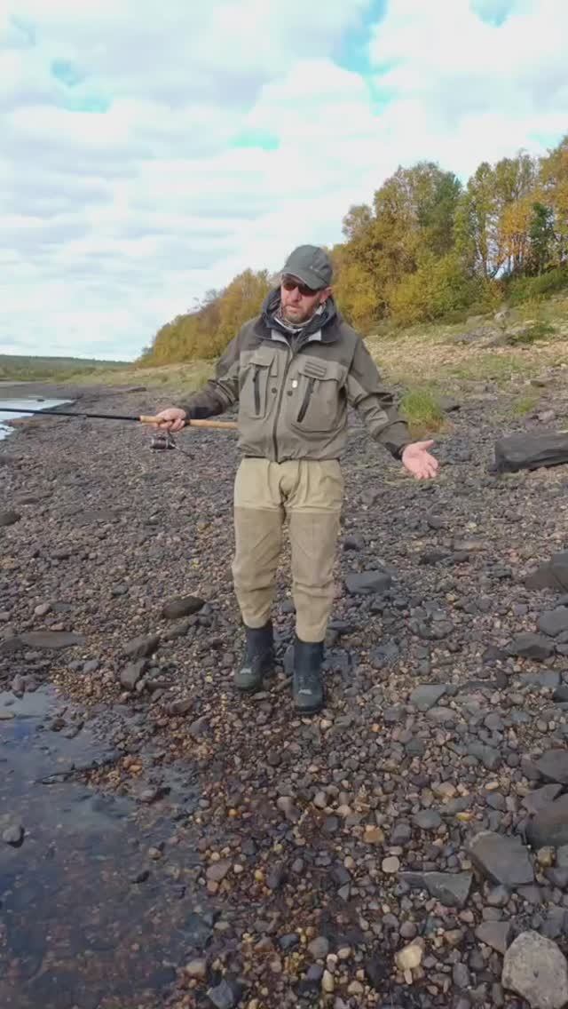 кумжа с берега