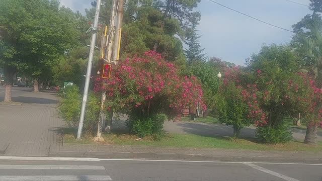 г. Сухум (Абхазия) / Вид из авто на центр / в ПЛЕЙЛИСТЕ больше видео о Сухум смотрите!!!