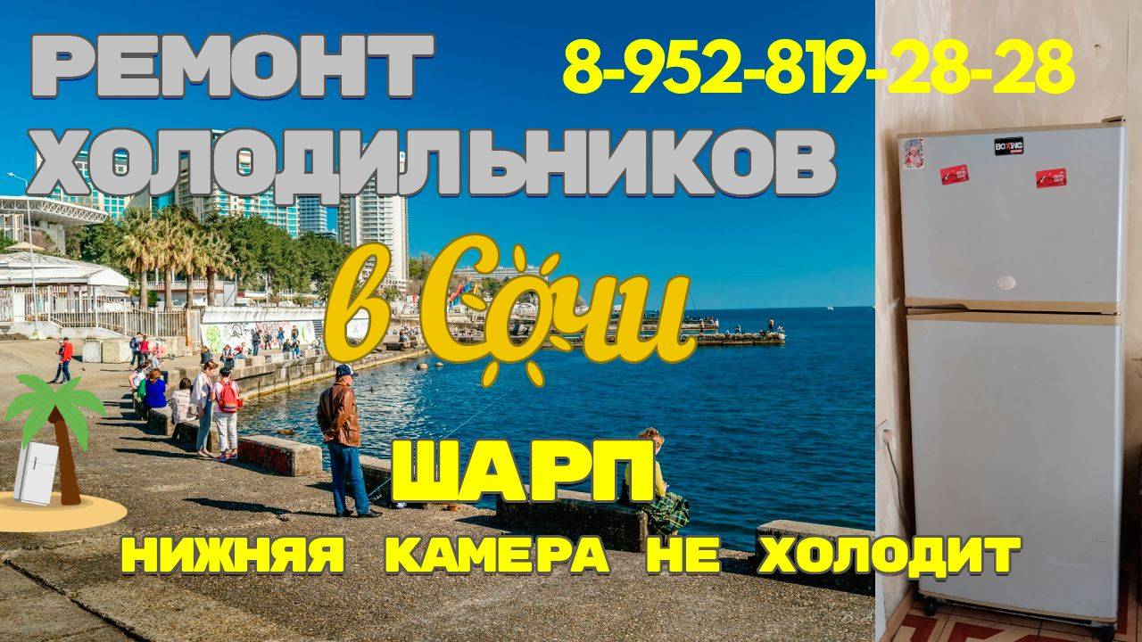 Ремонт холодильника Sharp не работает нижняя камера