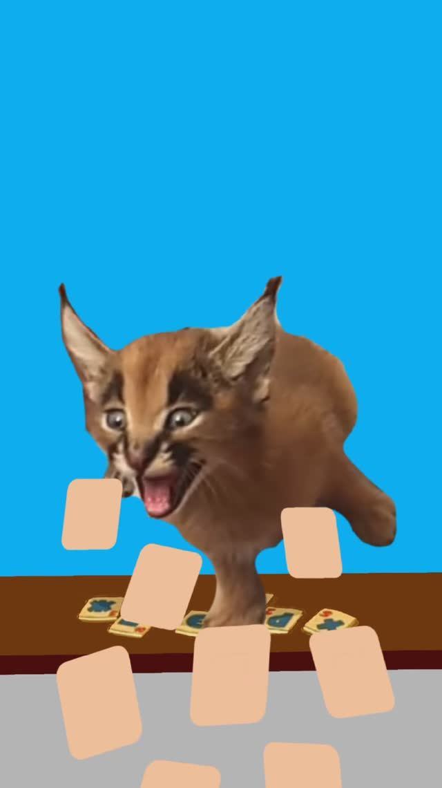 Недели котёнок Shorts (23)