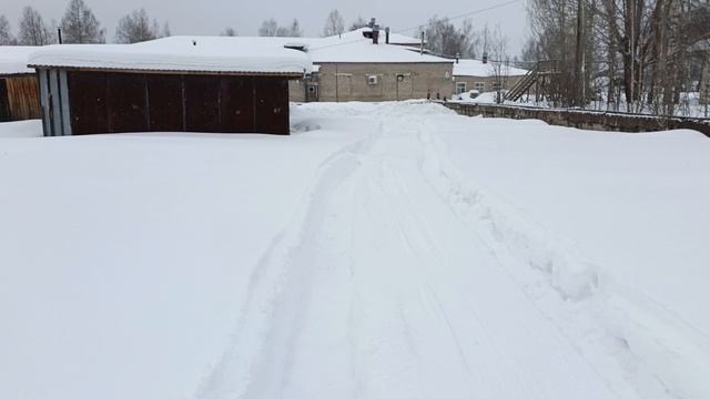 Трактор Т-40. Купили, выгнали на дорогу. Февраль 2024.mp4