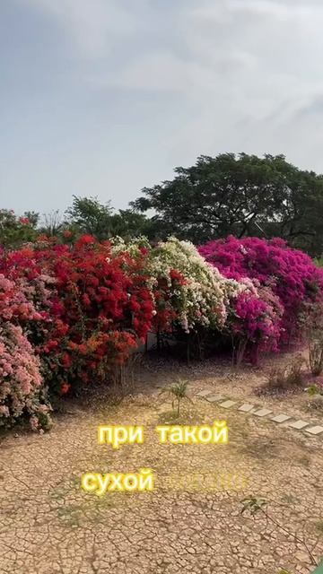 Лаос, февраль