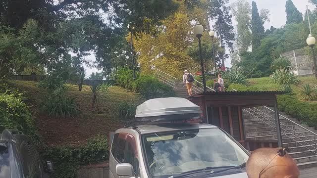 Город Сухум  (Абхазия) / Обезьяний питомник