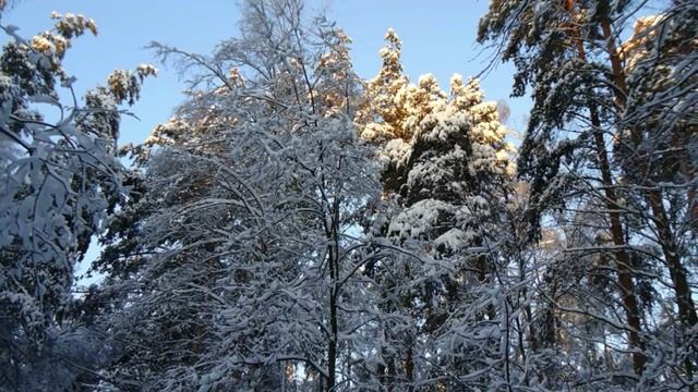 Новая зима.