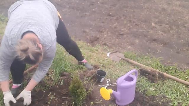 ДЕЛАЕМ_МЕСТО_ПОД_МАНГАЛ__НОВЫЕ_ЖИТЕЛИ_НА_ДАЧИ🏠🏕[1]