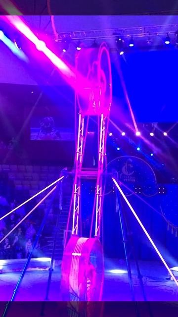 Качелька в цирке