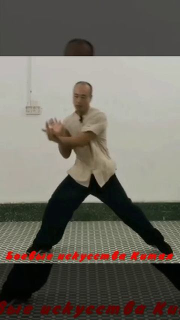 Упражнения с кольцом Вин Чун (3)