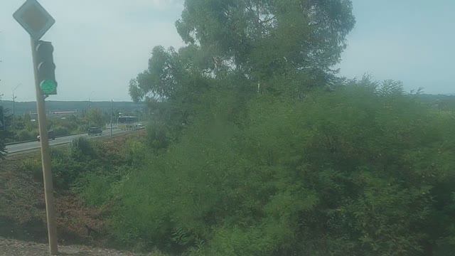 Город Гагра (Абхазия) / Вид из автобуса / Комментарии экскурсовода.