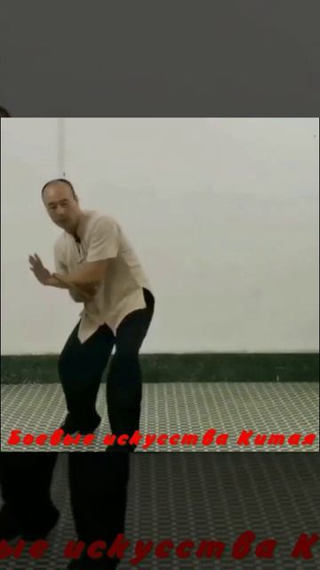 Упражнения с кольцом Вин Чун (2)