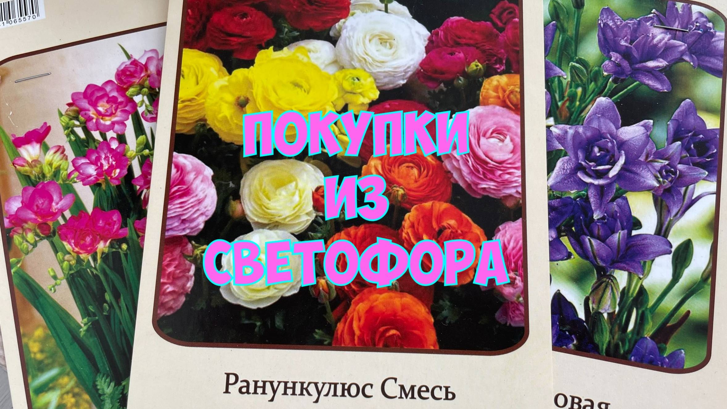 Ранункулюсы и фрезии из магазина Светофор