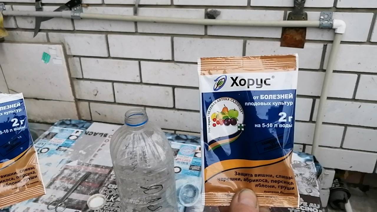 Обработка препаратом Хорус - идеальное средство защиты весеннего плодового сада от болезней