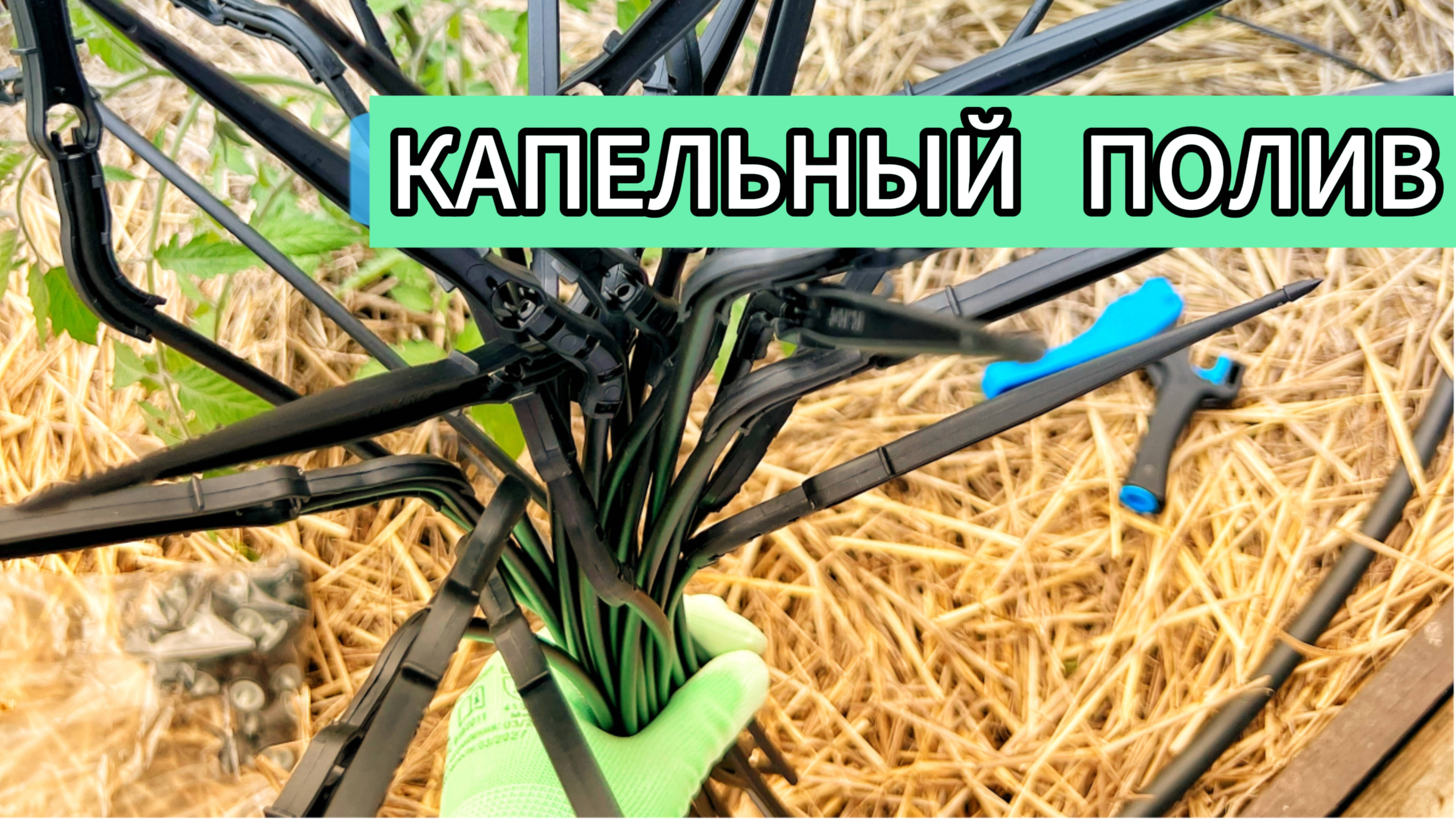 Капельный полив для огорода