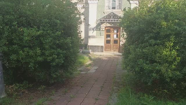 Город Сухум (Абхазия) / Дорожка в санатории МВО