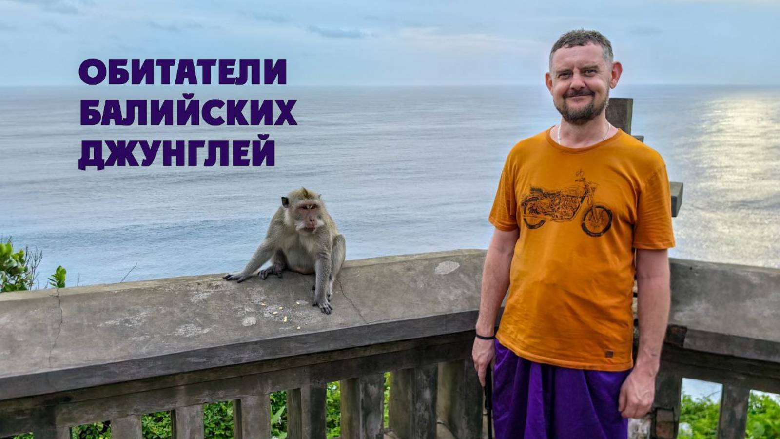 Обитатели балийских джунглей