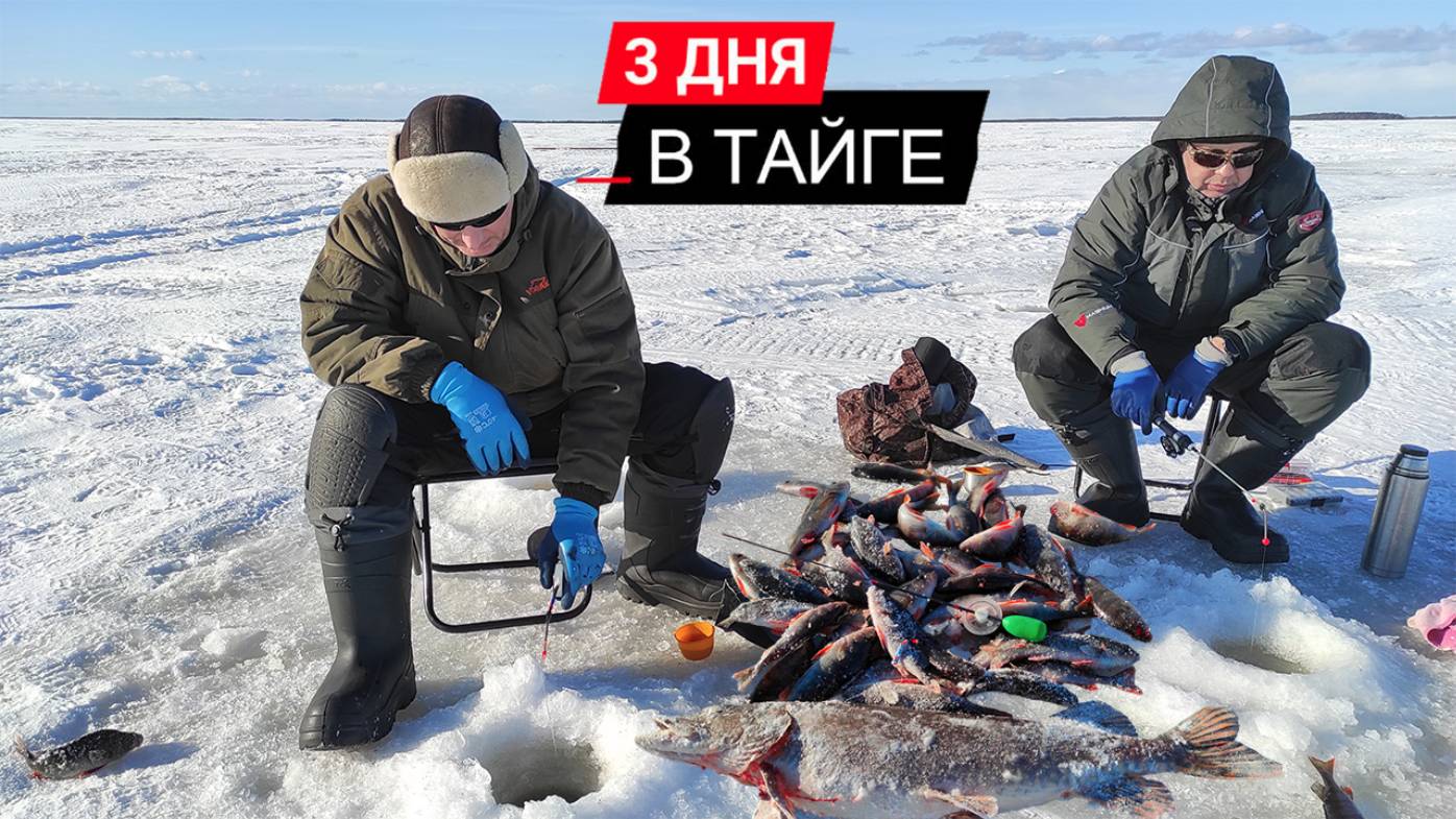 ОКУНЬ на каждой проводке. Эксперименты с приманками на окуня. Часть 2.