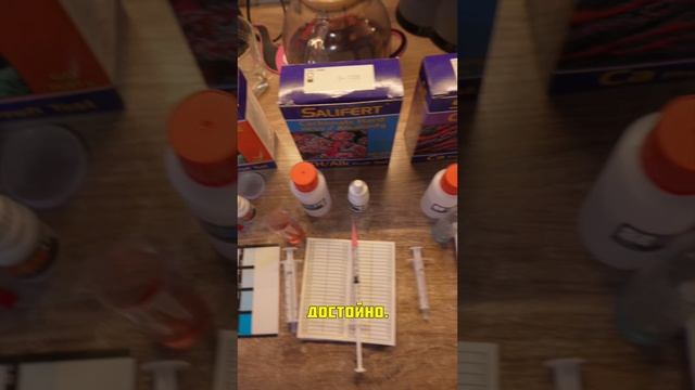 СИНУЛЯРИЯ В ОПАСНОСТИ #reeflife #морскойаквариум #reeftank #аквариумистика #aquarium #reef