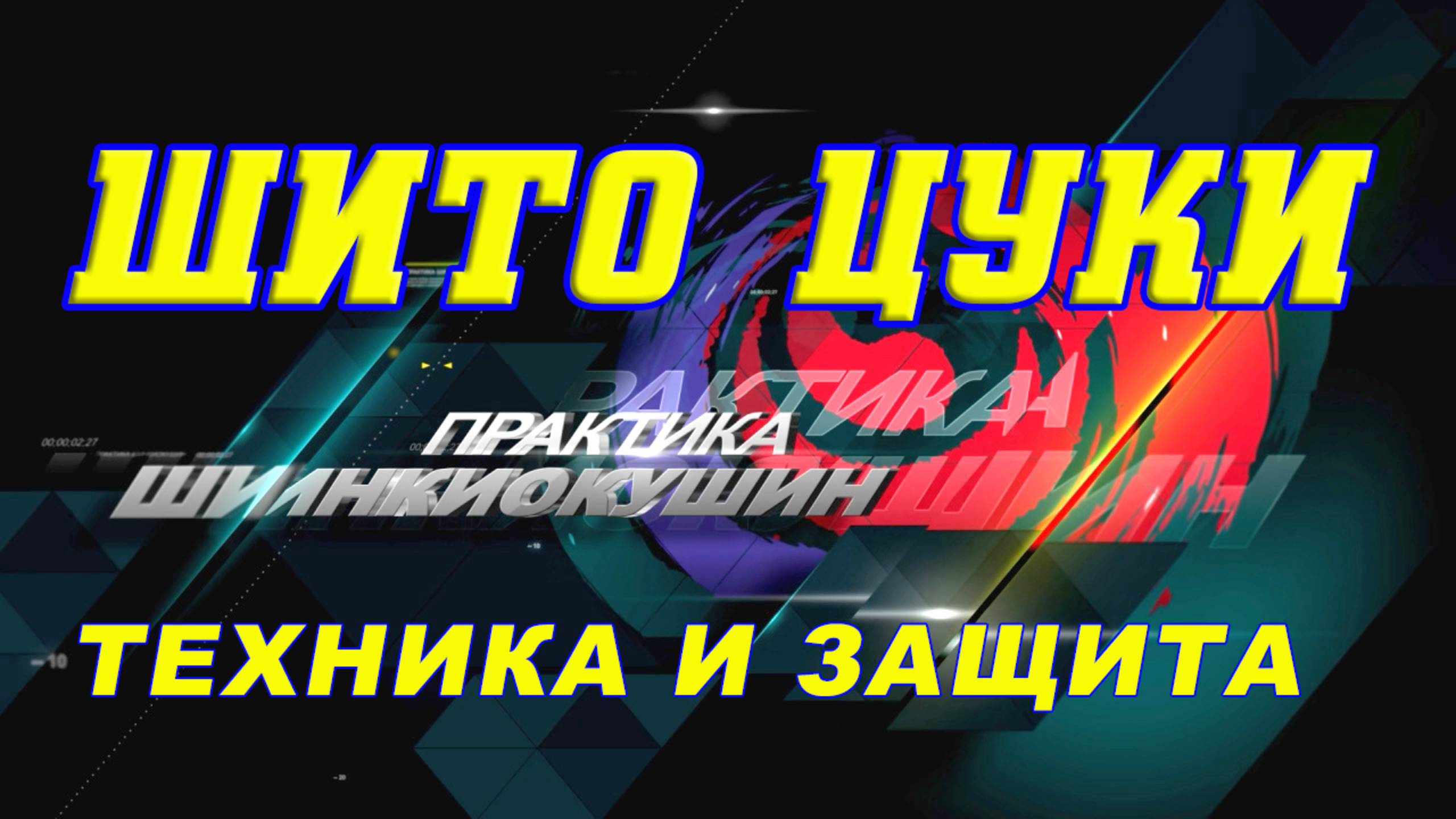 Практика Шинкиокушин.Шито цуки(К.Мидори)(рус.дубляж)