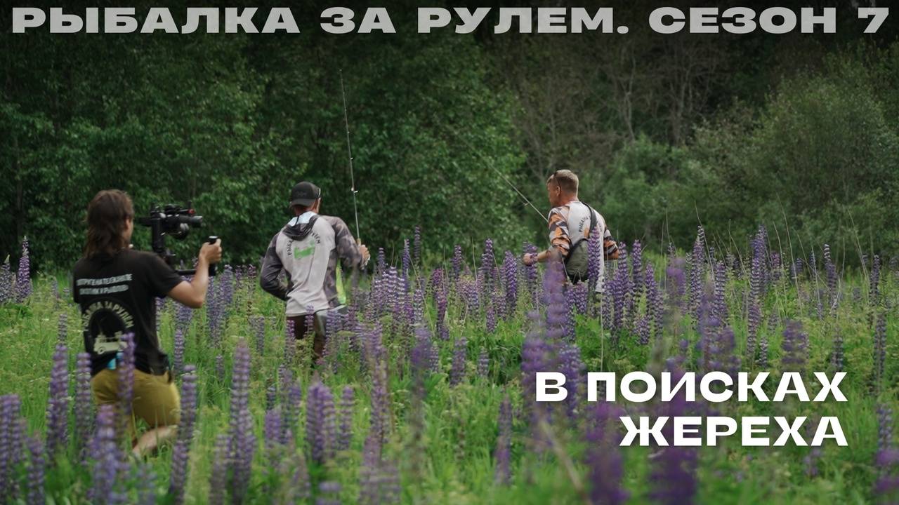 В поисках жереха. Рыбалка за рулем 7