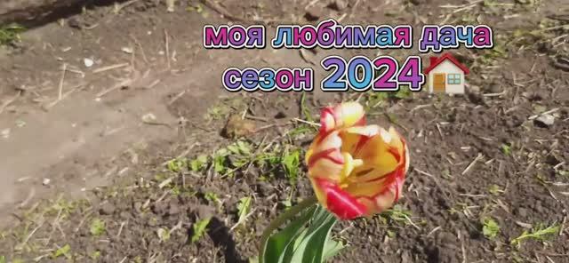 ПОСАДКА_🍓_сорт__ИСКУШЕНИЕ._КУПИЛИ_УМЫВАЛЬНИК.МОЯ_ЛЮБИМАЯ_ДАЧА[1]