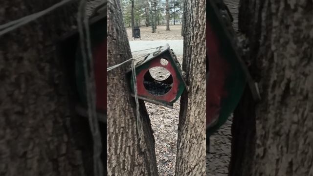 Раскладываем подкорм для птах по кормушкам в Сормовском парке. Нижний Новгород // Март 2025