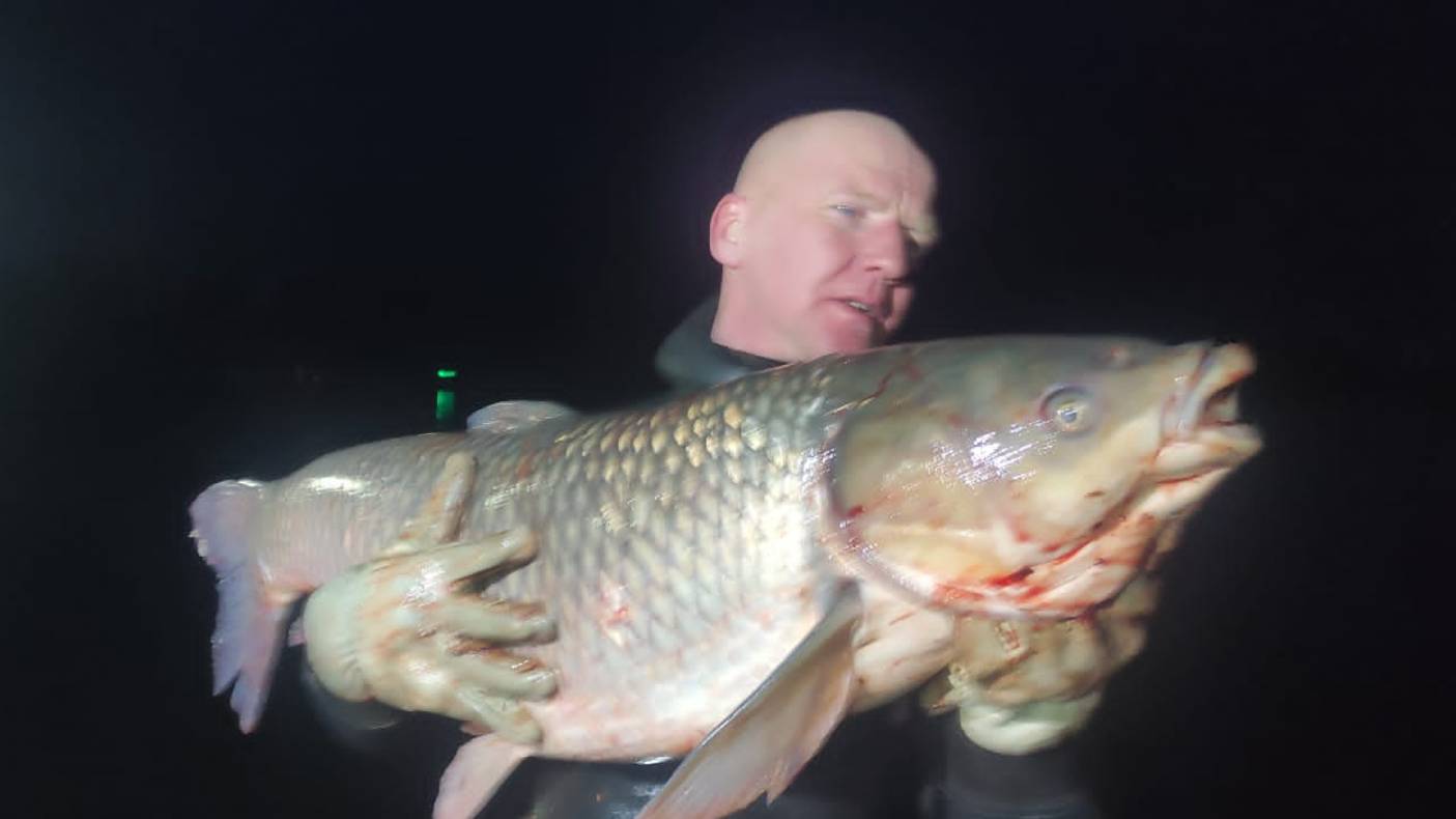 Амур-монстр, или трофейная подводная охота на речного исполина.