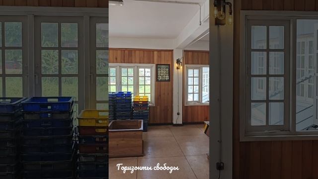 Завод цейлонского чая на Шри-Ланке