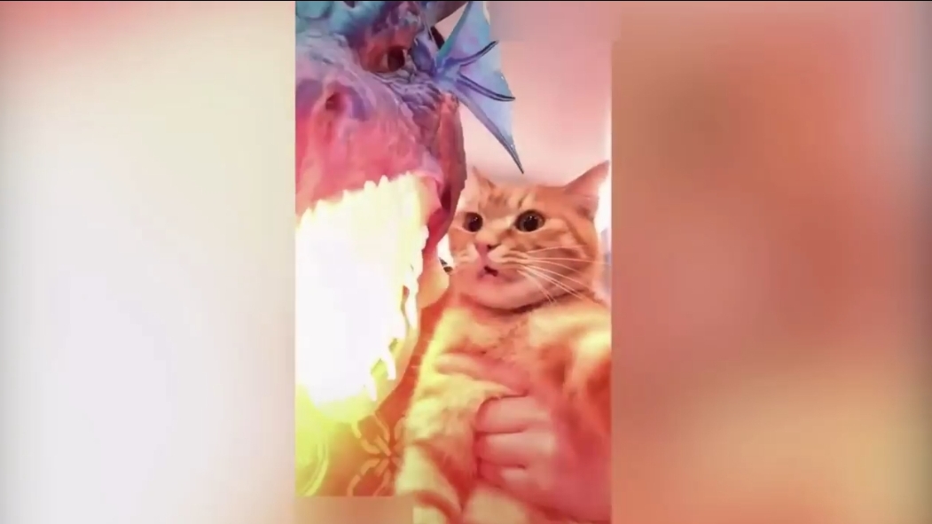 ПРИКОЛЫ С КОТАМИ! Самая смешная озвучка животных! ДО СЛЁЗ