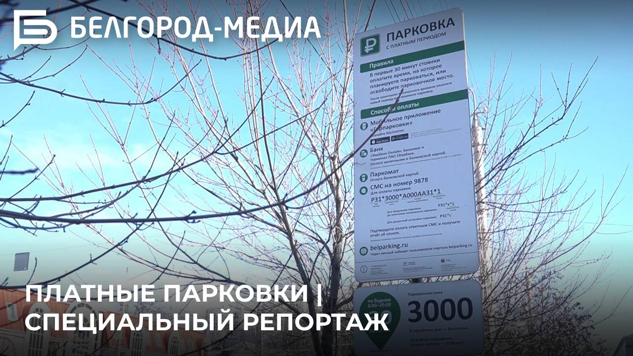 Платные парковки | Специальный репортаж