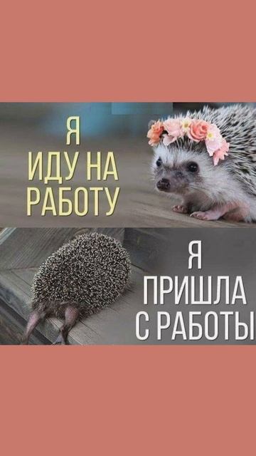 Юмор для отличного настроения!