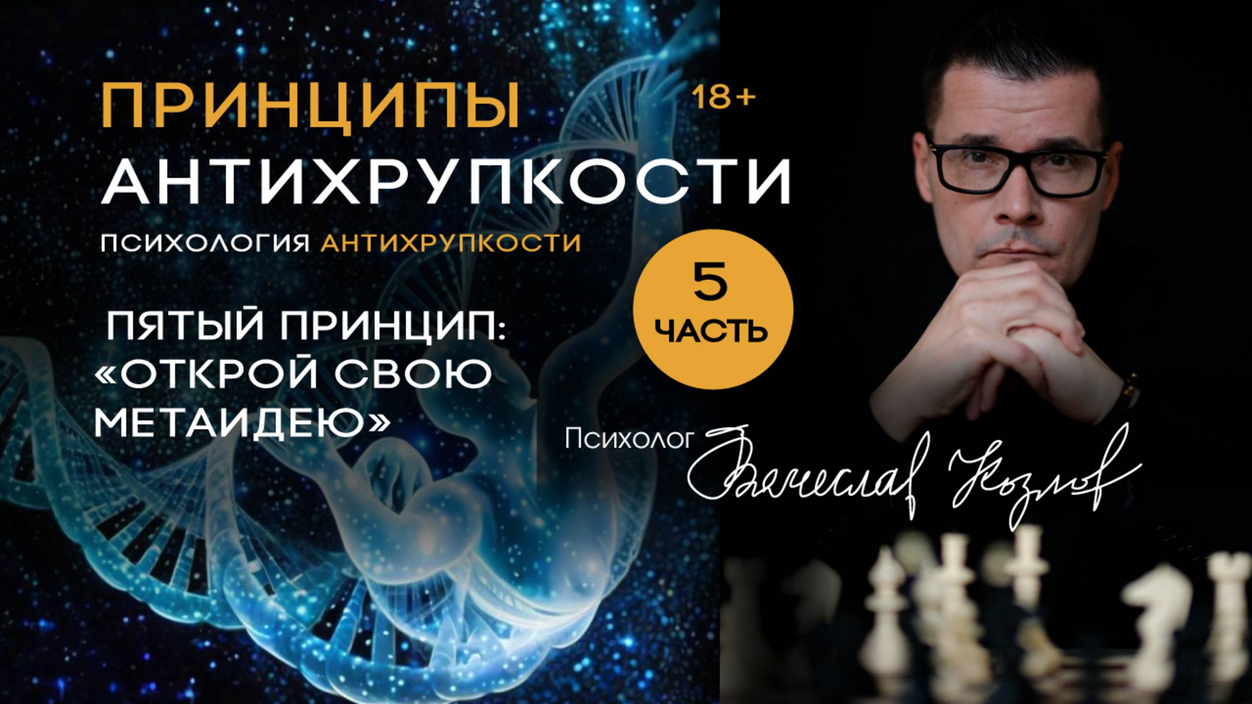 5 принцип Антихрупкости: «Открой свою Метаидею».