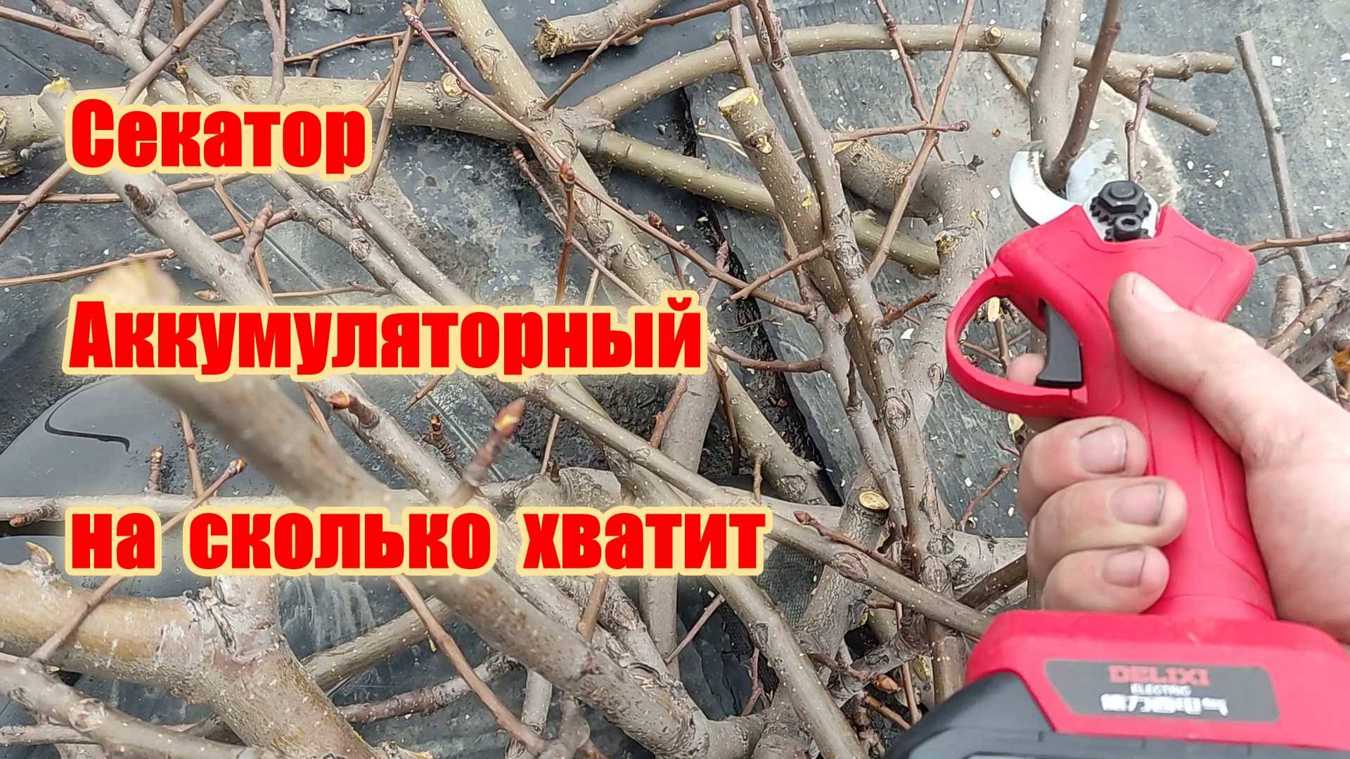 Аккумуляторный секатор тест батареи