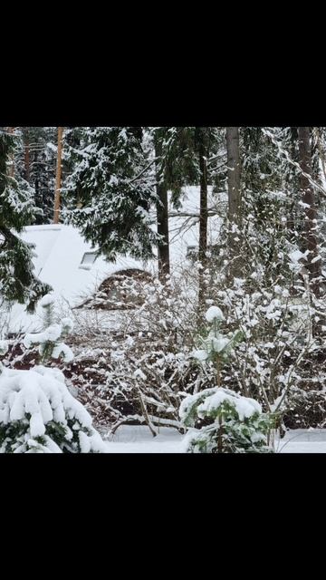 В Москве выпал апрельский снеговичный снег!